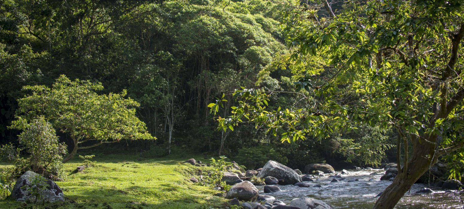 Rafting Pacuare River Tour Costa Rica - Explornatura