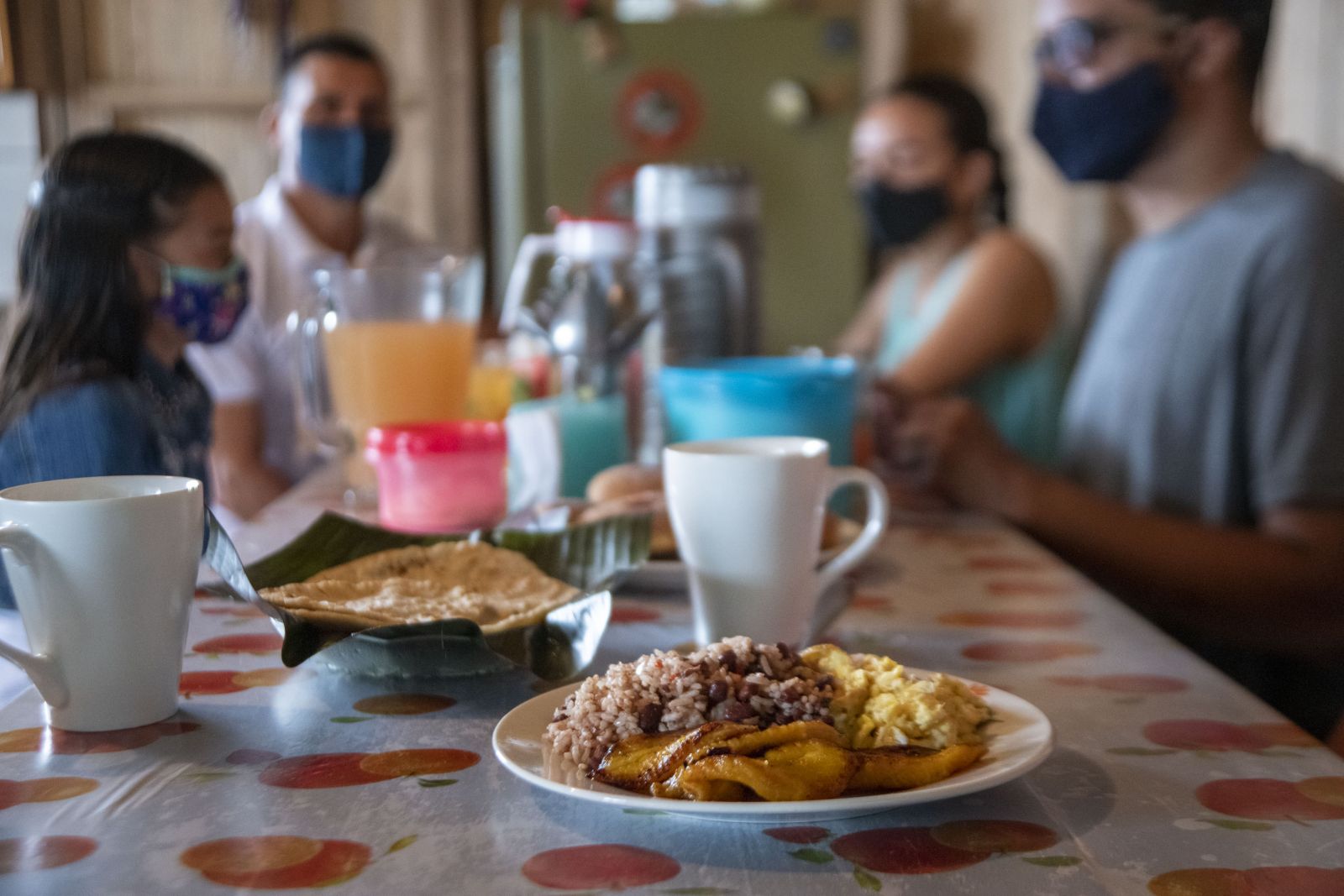 Rural Tourism Experience in Costa Rica - Explornatura